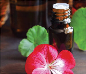ESSENTIAL OIL CATEGORIES – NORTHERN AROMATICS PRIVATE LIMITED