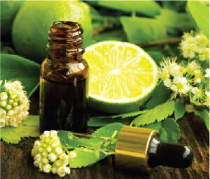 ESSENTIAL OIL CATEGORIES – NORTHERN AROMATICS PRIVATE LIMITED
